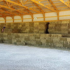Westwind Hay Farms – Providing the best animal hay in the Yorkville, IL ...