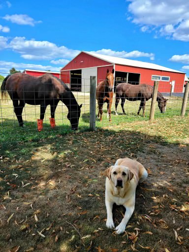 Westwind Hay Farms – Providing the best animal hay in the Yorkville, IL ...